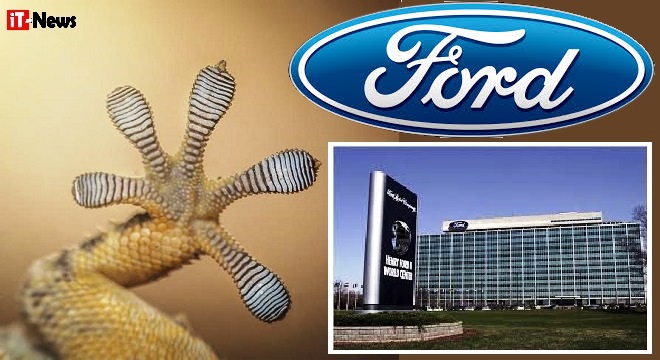Biomimétisme : Ford recherche des solutions en s’inspirant de la nature ...