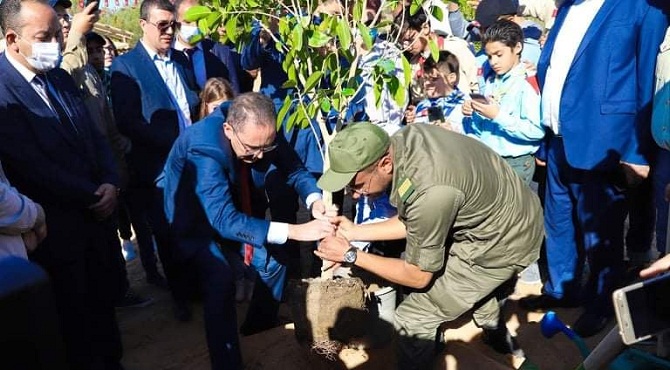 Fête de l’arbre à Sfax: Mohamed Rekik annonce des signaux positifs pour ...