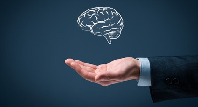 La Tunisie célèbre la Journée mondiale de la propriété intellectuelle ...