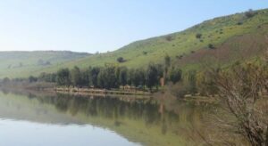 Tabarka et Aïn Draham : plus de 15 mille visiteurs attendus | Tunisie ...