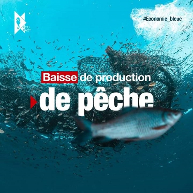 EcoPact, Programme intégré pour la dépollution de la région du lac de ...