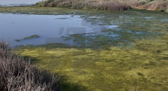 Nabeul : Clôture du projet « éco quartier de sabkhet korba » | Tunisie ...